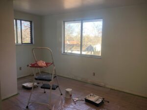 Lead Paint Removal Vs Encapsulation: What's the Difference? - Little ...